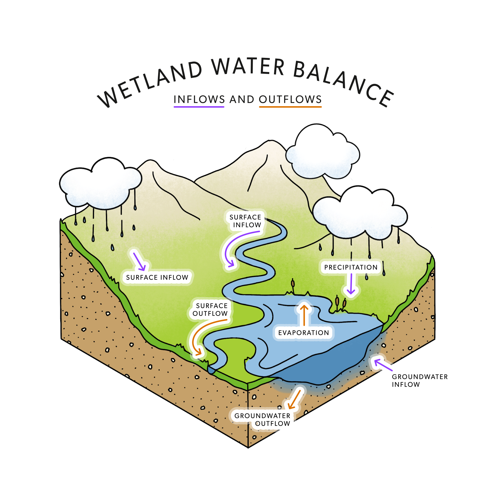 Regional Patterns in the Water Balance of Alberta's Wetlands